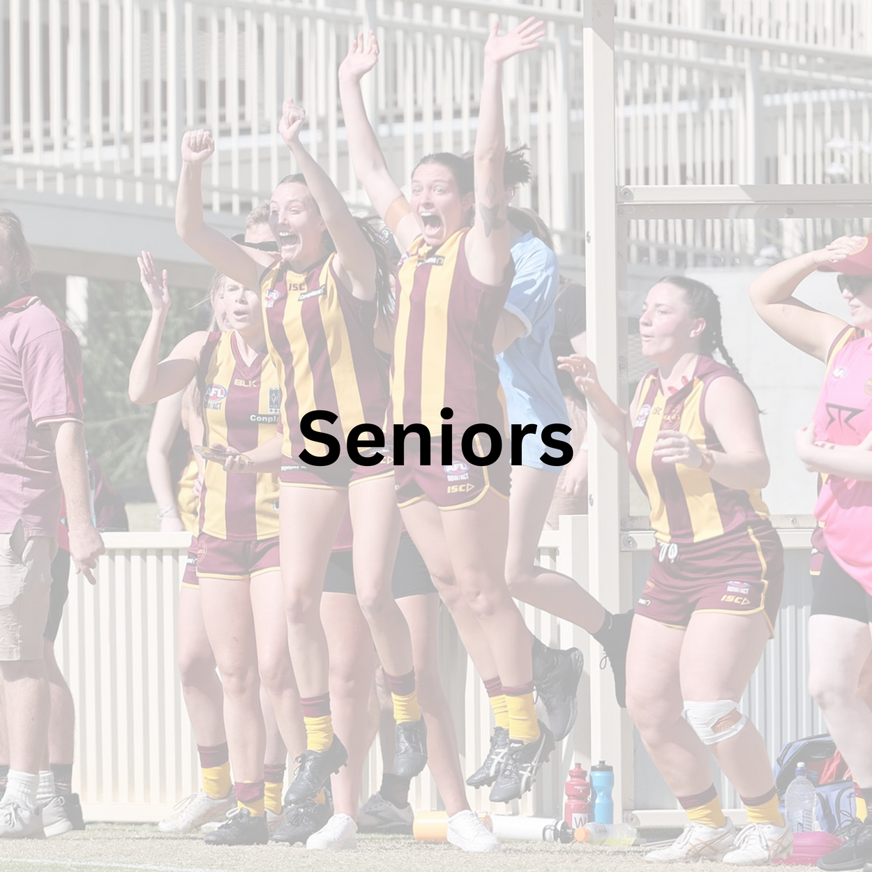 The Cardiff Hawks AFL team